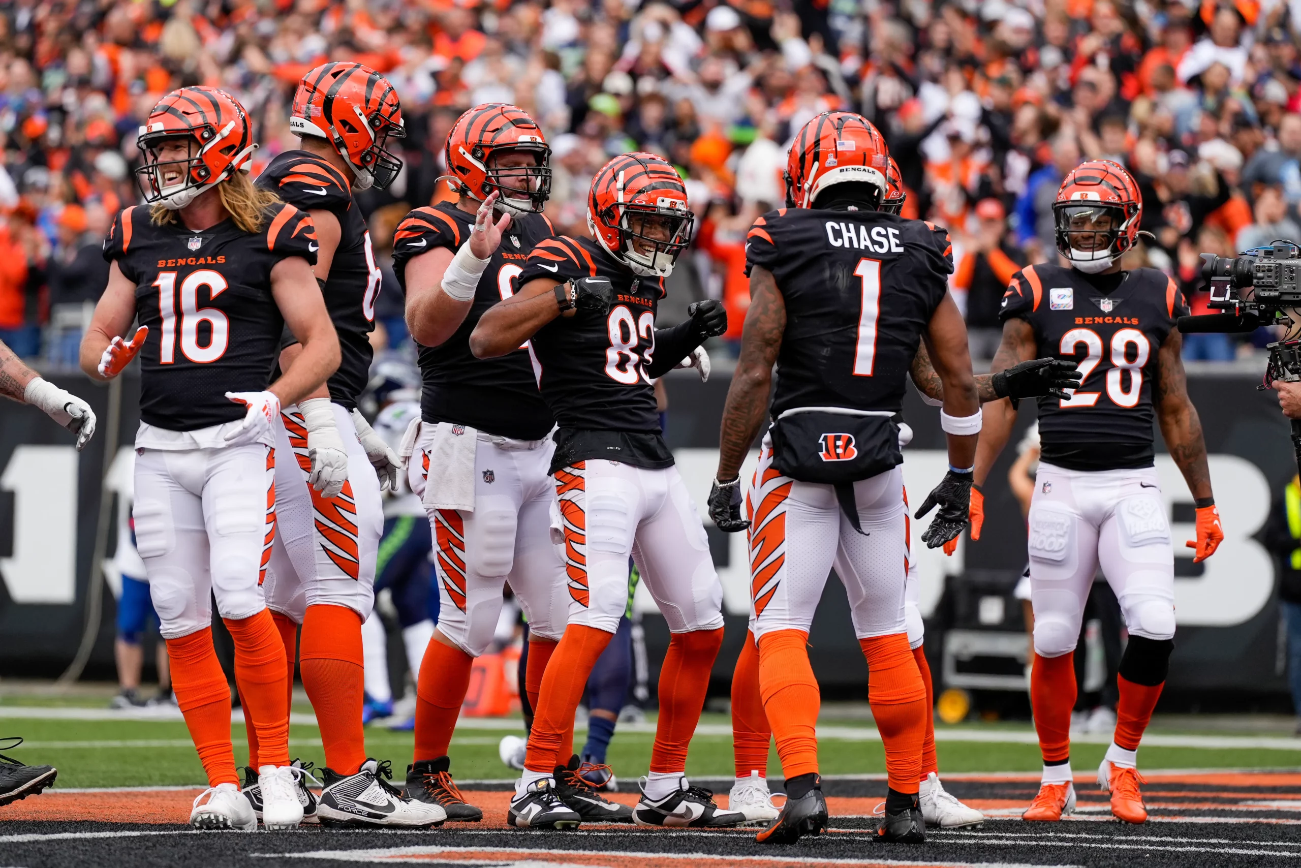 Cincinnati Bengals Star Announces Surprising Exit: “I Have No Future ...